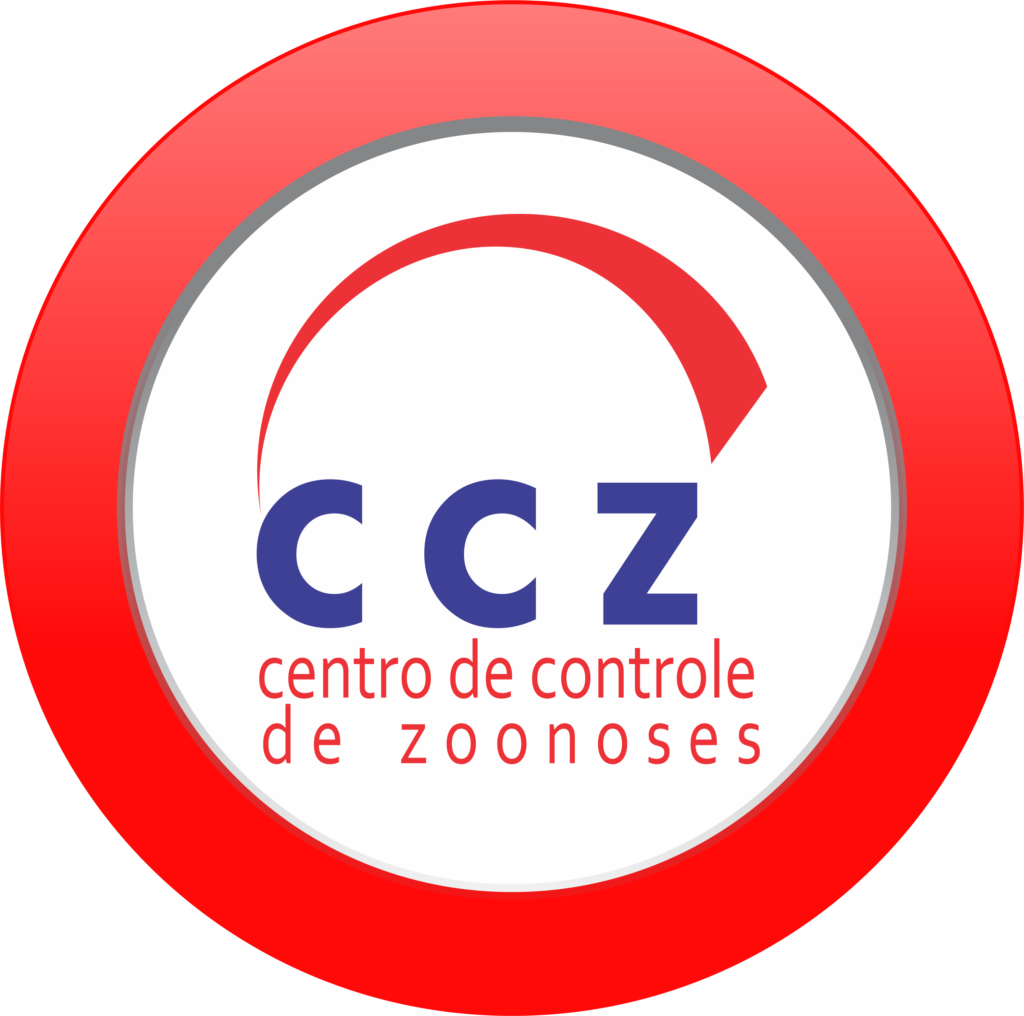 Caramujo africano: Saiba como agir ao encontrar esse molusco – Portal Oficial do CCZ ...